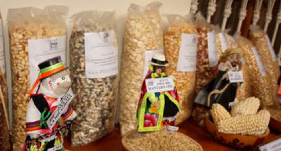 Inia enseña a seleccionar semillas | PERU | CORREO