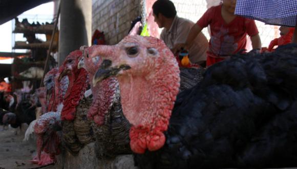'Feria del Pavo Criollo' en la Beneficencia Pública de Piura | PERU ...