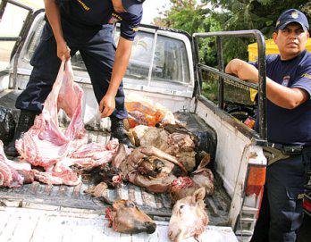 Decomisan carne de chivo y carnero | PERU | CORREO