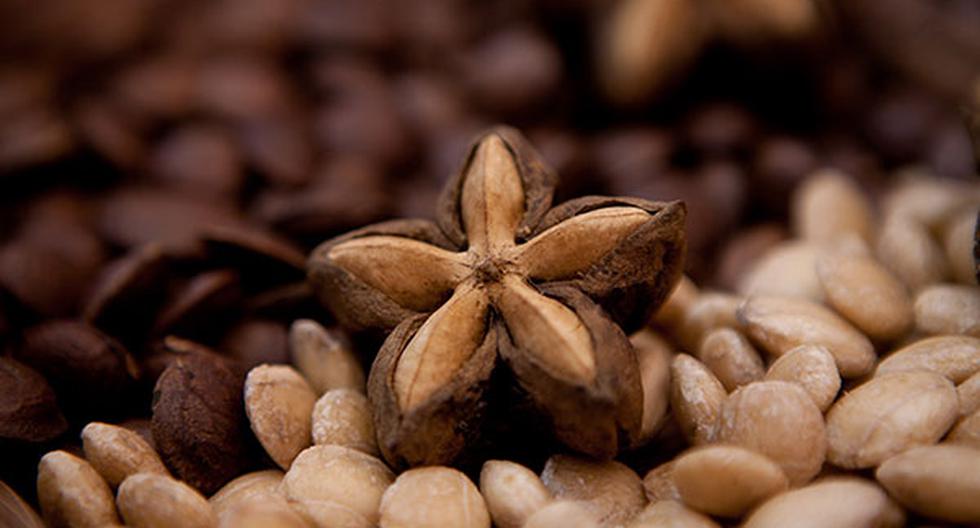 ¿Cuáles son los beneficios del consumo de Sacha Inchi? | GASTRONOMIA ...