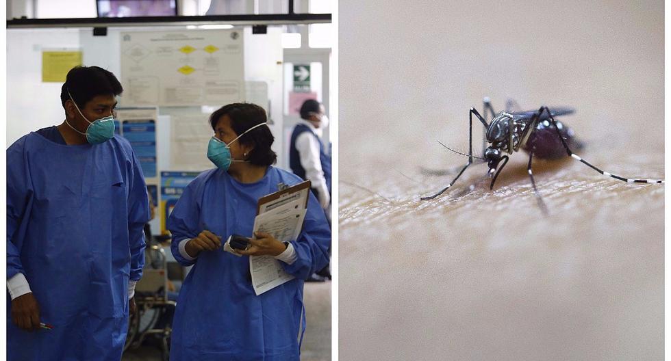 Minsa confirma 23 casos de zika en Lima | PERU | CORREO