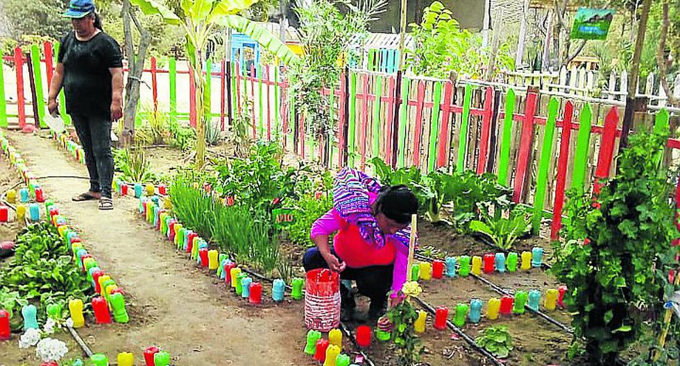 Se realizó VIII Festival del Huarango en Santa Cruz | EDICION | CORREO
