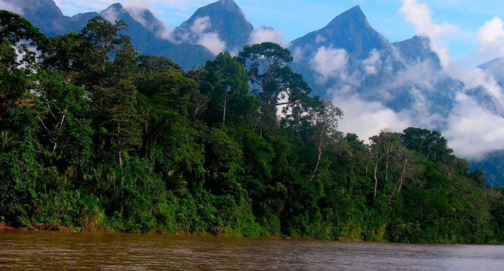 Tendencia: Selva peruana: Estos datos debes tener en cuenta antes de ...