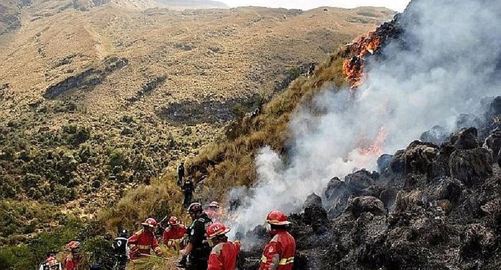 Alarmante: Ola de incendios forestales se registran en varias regiones ...