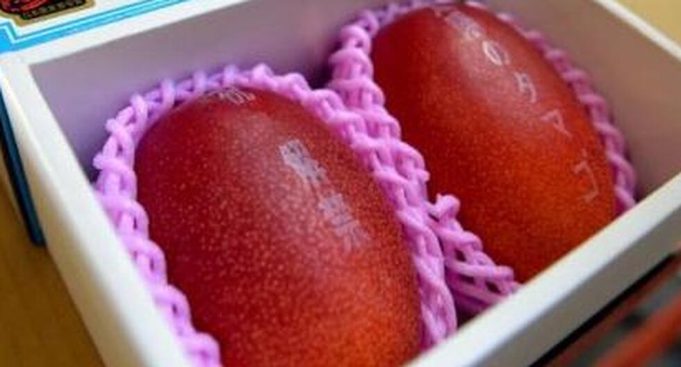 Tendencia: Japón: Venden dos mangos por el precio récord de 2.340 euros ...