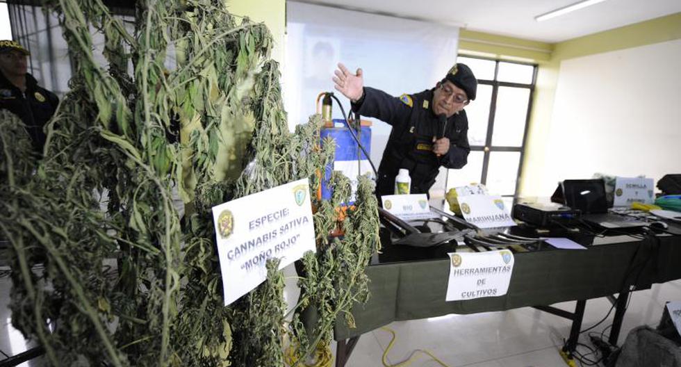 Pnp Incautó Una Tonelada De Marihuana En La Libertad Peru Correo