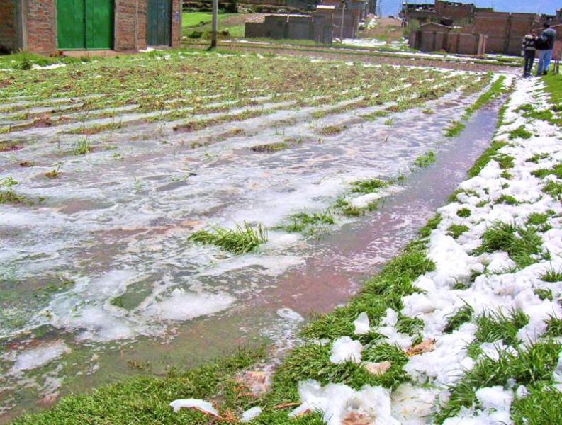 Aseguran cultivos de granadilla, cacao, maca, grano verde, papa entre ...