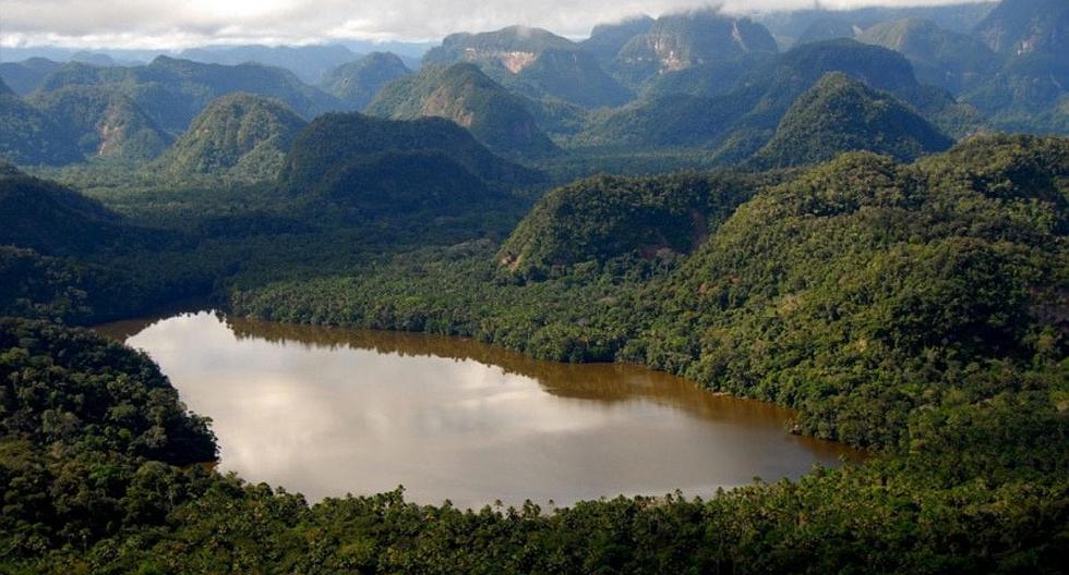 Tendencia: Selva peruana: Estos datos debes tener en cuenta antes de ...