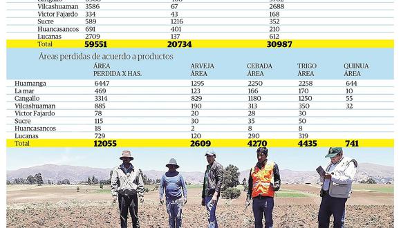 Más 12 Mil Hectáreas Se Perdieron En Las Emergencias Edicion Correo