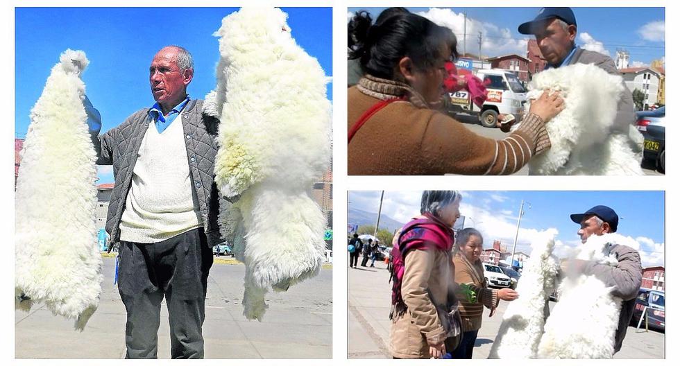 Pellejos medicinales, una nueva y buena alternativa para enfrentar el ...