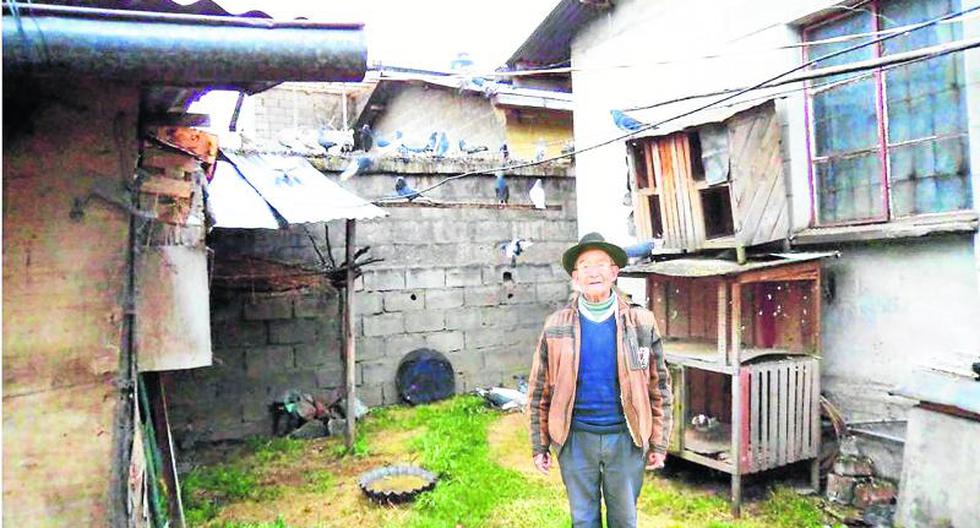 Conozca al "amo" de las palomas | PERU | CORREO