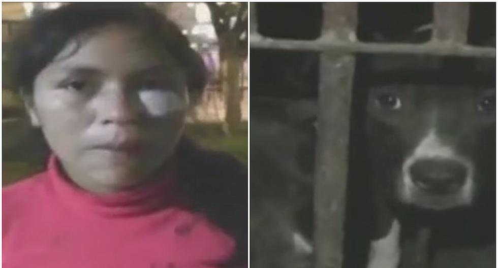 Ate: Mujer es atacada por perros de raza pitbull y casi pierde un ojo (VIDEO) | EDICION | CORREO