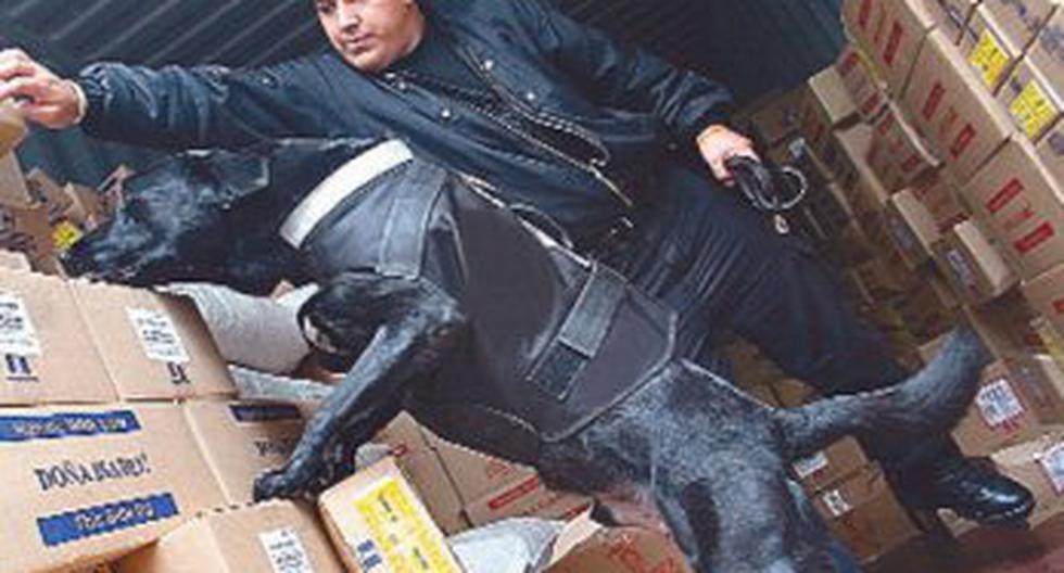 Perros detectan 800 kilos de insumos para droga | PERU | CORREO