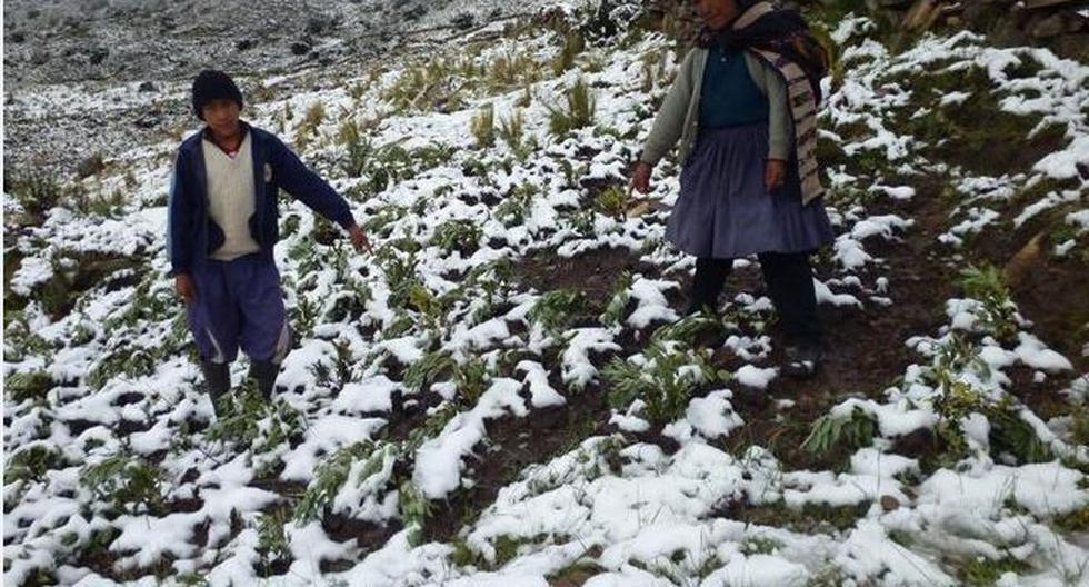 Nuevo periodo de heladas en las zonas altas de Puno | PERU | CORREO