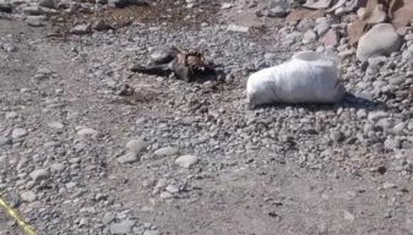 Hallan cuerpo calcinado de varón cerca a chancherías | PERU | CORREO