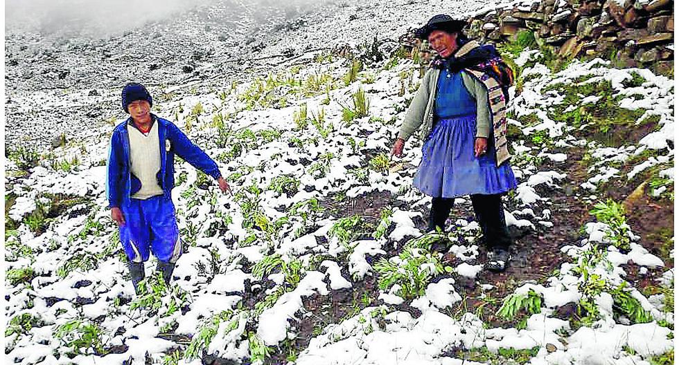 Solicitan ampliación de emergencia por heladas en varios distritos ...