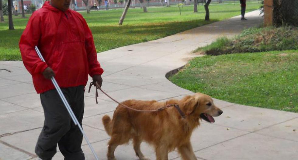 Invidentes podrán entrar a locales con perros guía en Jesús María ...