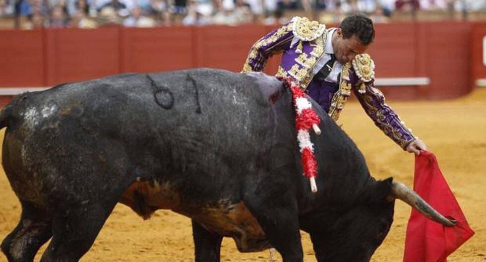 Tendencia: Torero es corneado en el tórax y tiene varias costillas ...
