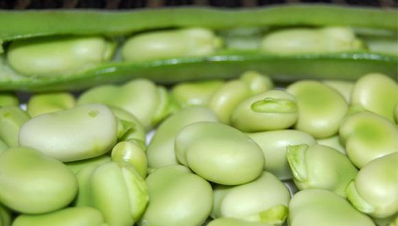 Liberan nueva variedad de haba de gran rendimiento | PERU | CORREO